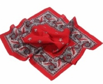 Boeren zakdoek